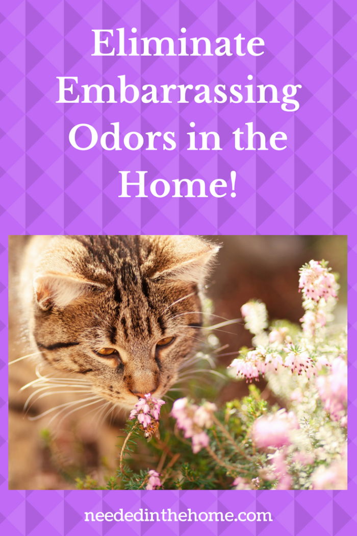 Eliminate Embarrassing Odors in the Home! - NeededInTheHome