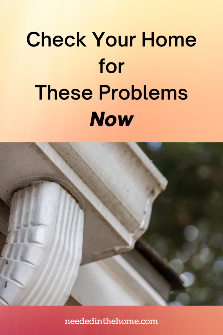 Check Your Home For These Problems Now - NeededInTheHome