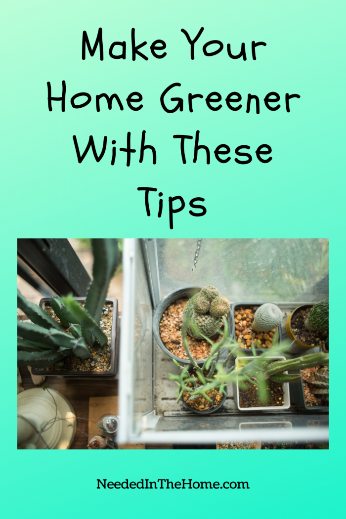 Make Your Home Greener With These Tips - NeededInTheHome