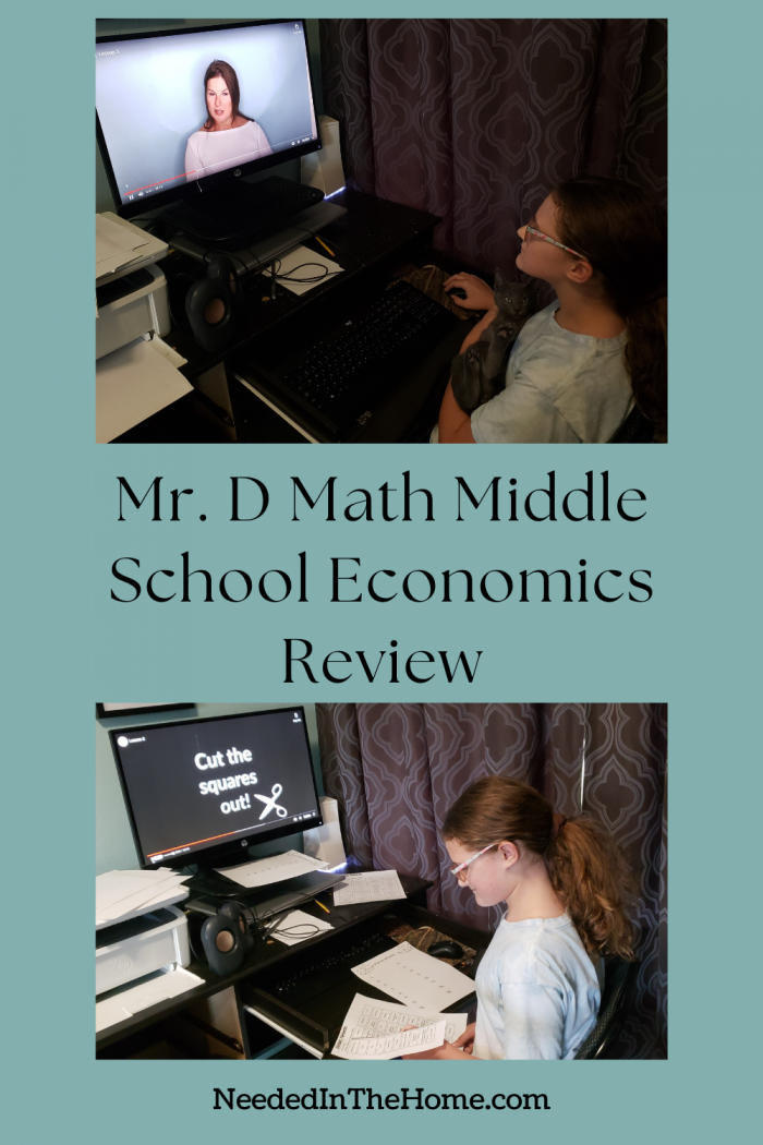 Mr. D Math Junior Economics Review for Middle School - NeededInTheHome