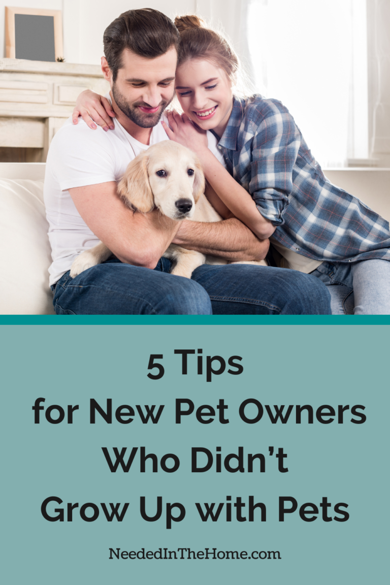 5 Tips for New Pet Owners Who Didn’t Grow Up with Pets - NeededInTheHome