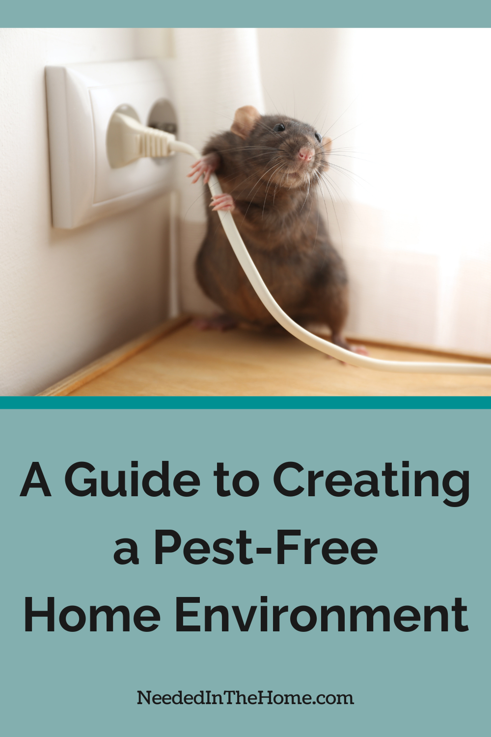 A Guide to Creating a Pest-Free Home Environment - NeededInTheHome