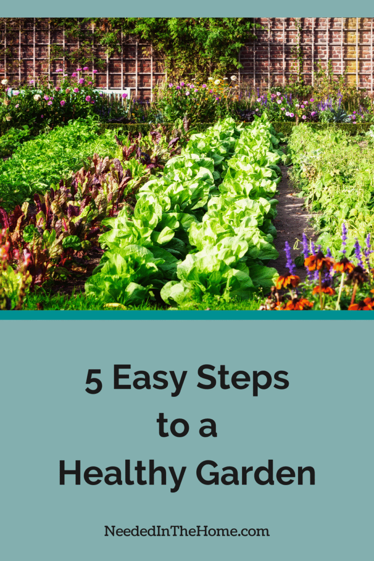 5 Easy Steps to a Healthy Garden - NeededInTheHome